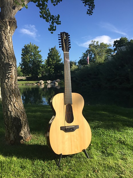 Handmade 12-String Guitar | Reverb