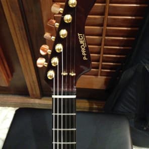 Fernandes P-Project 1998-99 AI-N Nylon Electric-Acoustic | Reverb