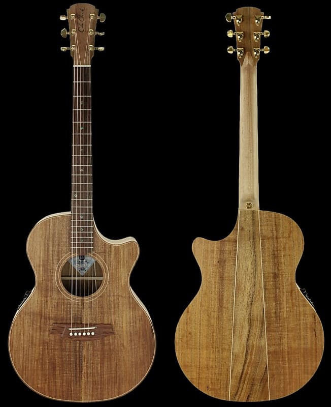 Cole Clark TL2EC-SSO Acoustic Guitar - Pre Order Now | Reverb UK