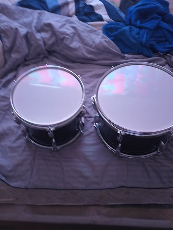 Cardinal Percussion Adult Professional 2024 - Black Gloss | Reverb