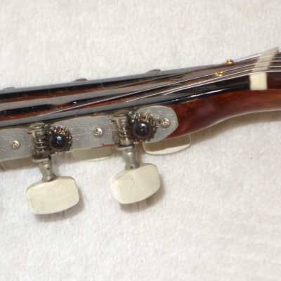 1999 Michael Turko "Tennessee Tornado " Parlor Guitar | Reverb