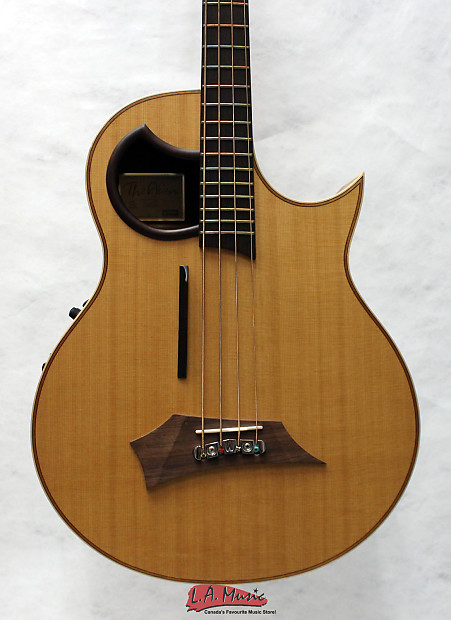 Warwick Alien Acoustic Bass Guitar | Reverb