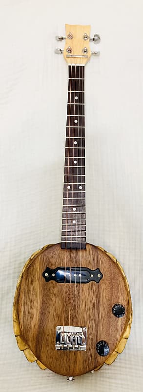 Turtle Shell Electric Tenor Guitar - monkey pod top | Reverb