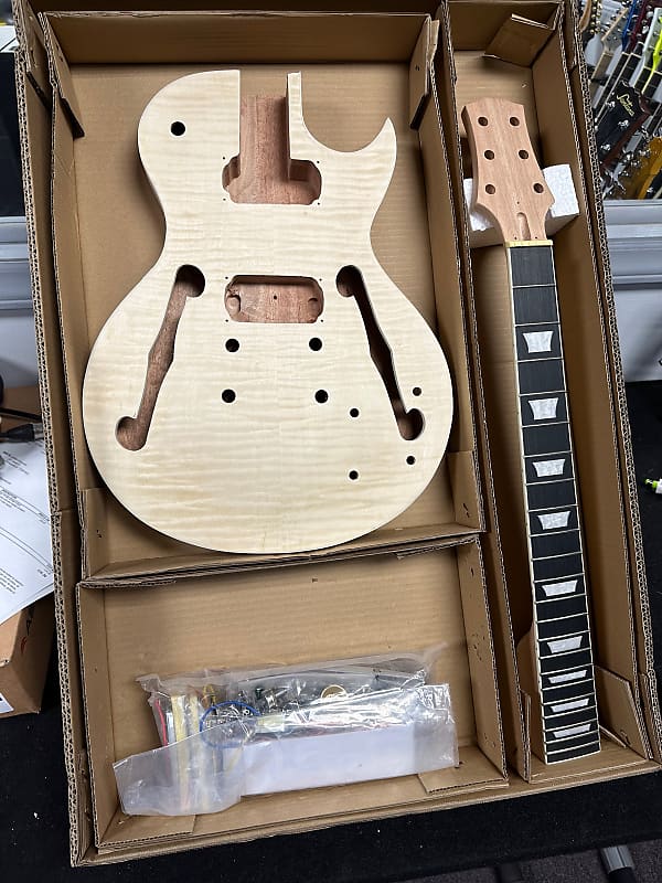 Hollowbody LP COMPLETE DIY Guitar Kit set neck with carved | Reverb