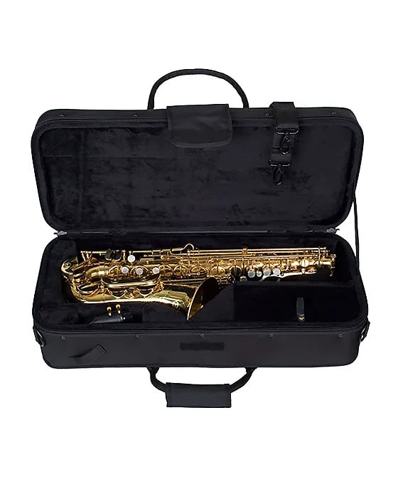 Protec PB-304 Koffer Altsaxophon | Reverb