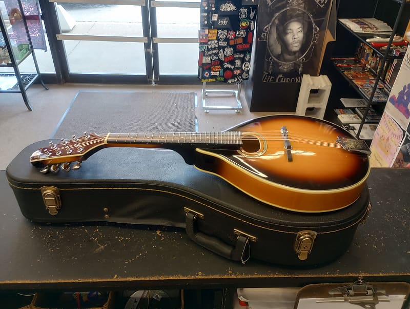 Johnson MA-110 with Guardian Hardshell Case | Reverb