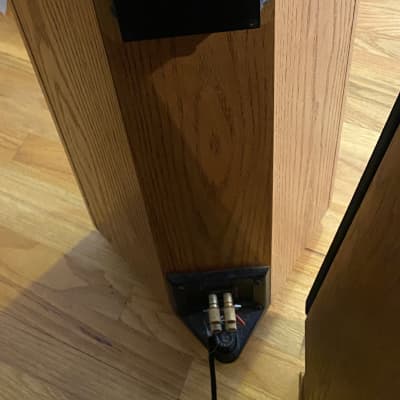 Infinity Renaissance 80 Speakers - Oak | Reverb