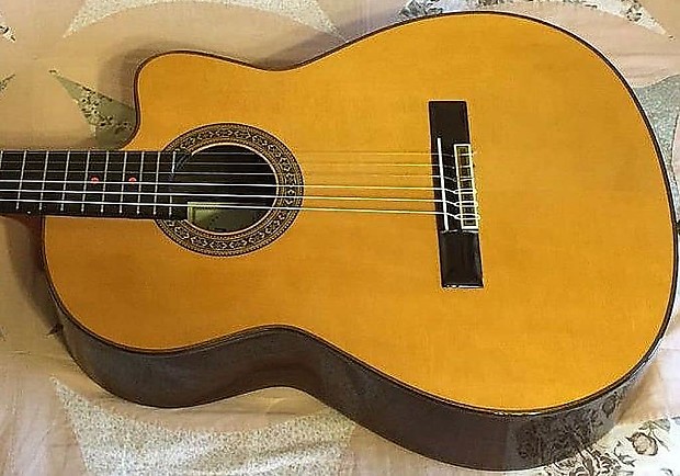 Pavan TP-30-64AC 2007, Cutaway Classical-Electric Guitar, | Reverb