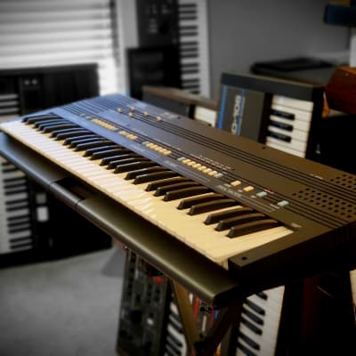 SIEL MK610 (ULTRA RARE) 1980's ITALIAN ANALOG SYNTHESIZER IN | Reverb