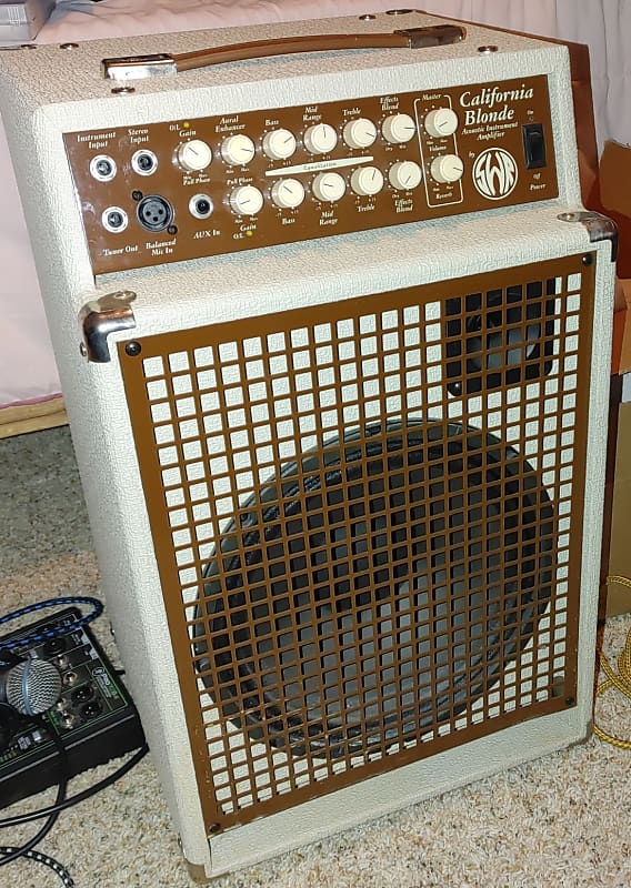 SWR California Blonde Acoustic Combo Amplifier 120 Watt Power | Reverb