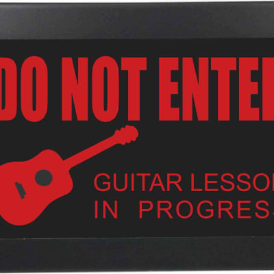 AMERICAN RECORDER - "GUITAR LESSON IN PROGRESS" LED Lighted | Reverb