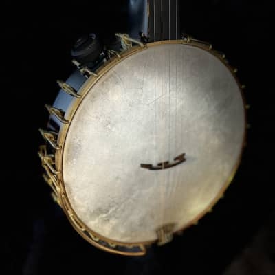 Custom "Tree of Life" Fretless Banjo 11" 2023 - Black Gloss | Reverb