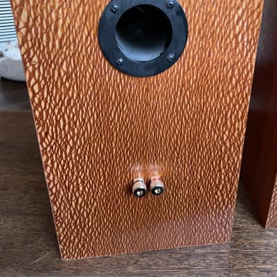 CSS Audio Criton 1TD-X w/ upgraded x-over 2022 - Custom Lace | Reverb