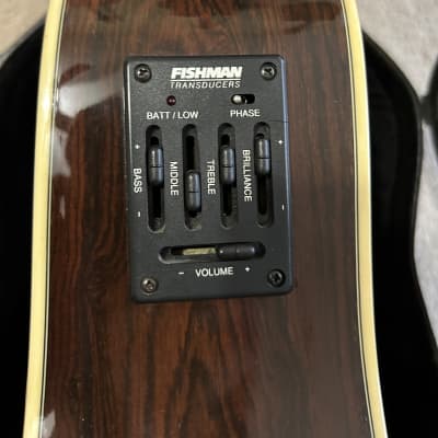 Washburn DM2000S Millennium Series | Reverb