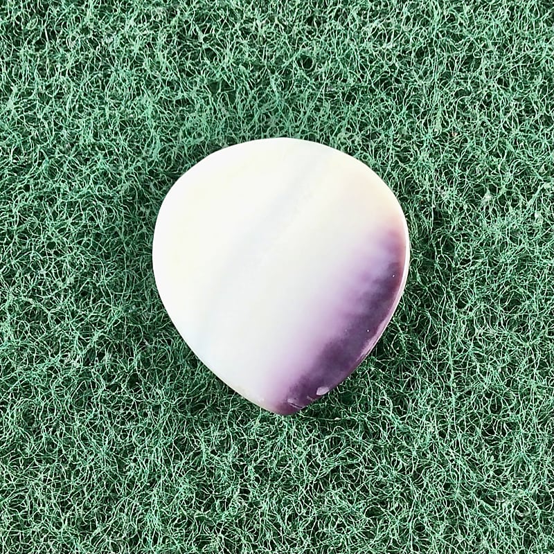 Seashell guitar pick/1.5mm thick, teardrop profile… by | Reverb