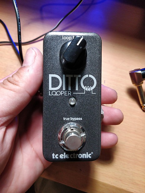 TC Electronic Ditto Looper with Tap Tempo | Reverb Australia
