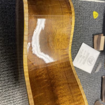 Rebuilt UPS modified Kanilea GL6 2021 | Reverb