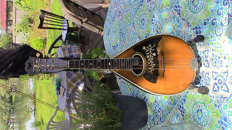 1920s Larson Brothers Mandolin, "Maurer" Collector grade. | Reverb