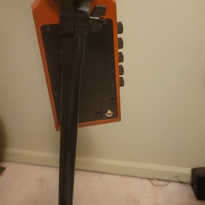 Steinberger Ŵave fretted upright bass 2023 - Natural orange | Reverb