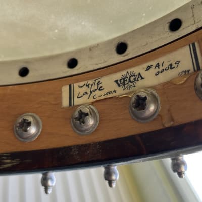 Vega Long Neck Banjo with Mark Hickler Neck | Reverb