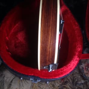 Aria Early 70's Vintage Mandolin Made In The Famous Matsomoku | Reverb