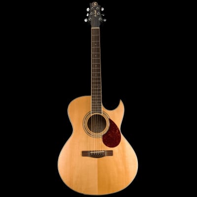 SamicK TMJ-5CE Greg Bennett Acoustic Guitar | Reverb Deutschland