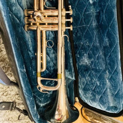 S.E. Shires Model B 2011-2013 - Silver | Reverb