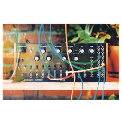 Moog Spectravox Semi-Modular Analog Spectral Processor | Reverb