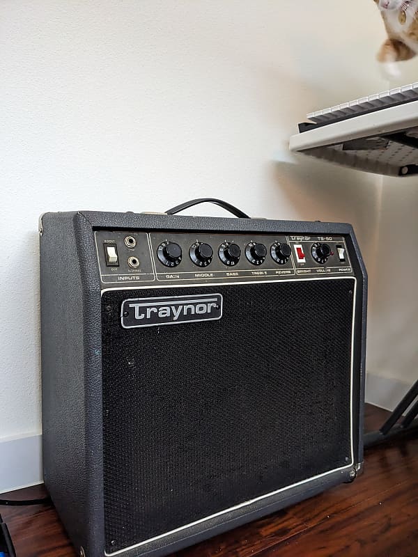 Traynor TS 50 Combo | Reverb