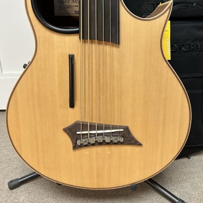 Warwick Alien 6 String Fretless Acoustic Electric Bass - | Reverb
