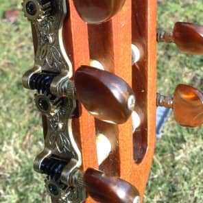 Cort nylon Strung thin line Hybrid Classical CEC5 Fishman Pu. | Reverb