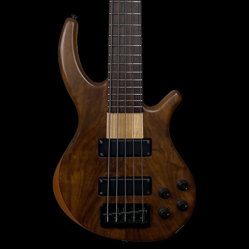 Overwater Perception STD Deluxe 5 String Bass w/Hardcase | Reverb