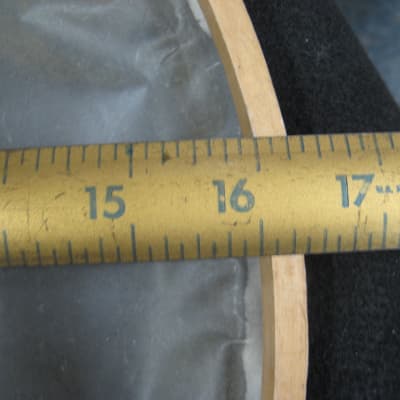 Ludwig 16" Slunk (resonant side) Calf Skin Drum Head | Reverb