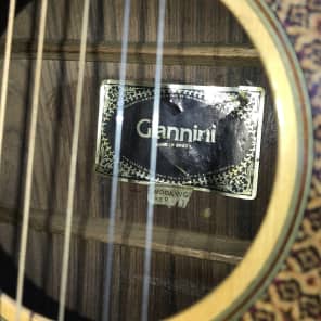 Giannini Brazilian Exotic Woods Dreadnought Acoustic 1960s | Reverb