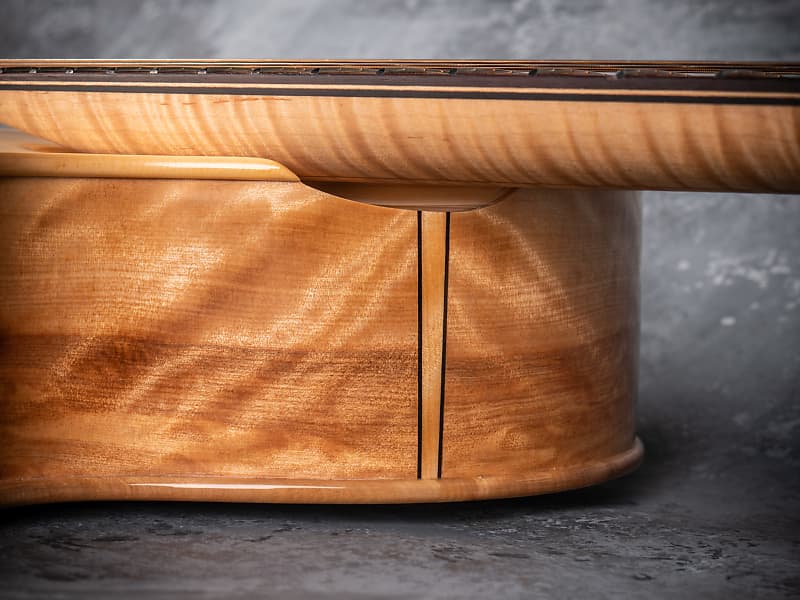 Lavoie Guitars Baryton Archtop (9 strings) | Reverb