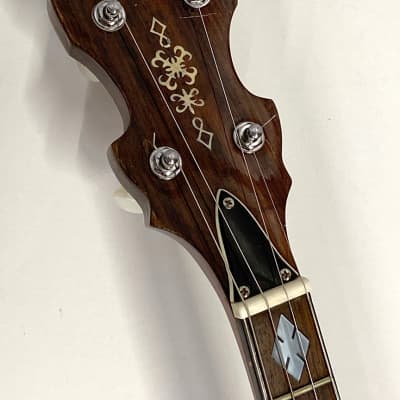 Alvarez Aoyama 4 string tenor resonator banjo | Reverb