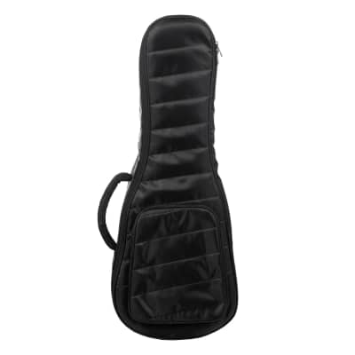 Kala KA-MNGG-T Metropolitan Series All Solid Curly Mango | Reverb