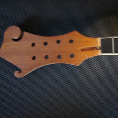 MANDOLIN KIT, DIY F5 Archtop 2009 unfinished | Reverb