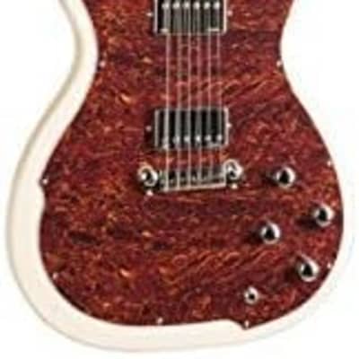 Godin Radiator | Reverb