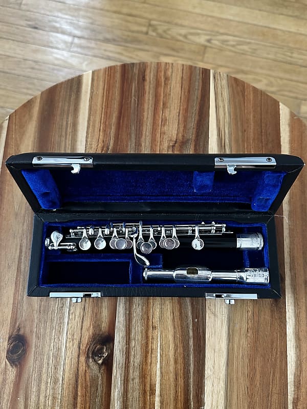 Di Zhao DZP-101 2010s - silver plated/black | Reverb