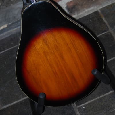 Lotus Mandolin LM-6 | Reverb