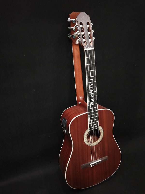6 String Classical/ 6 String Acoustic Electric Double Neck, | Reverb