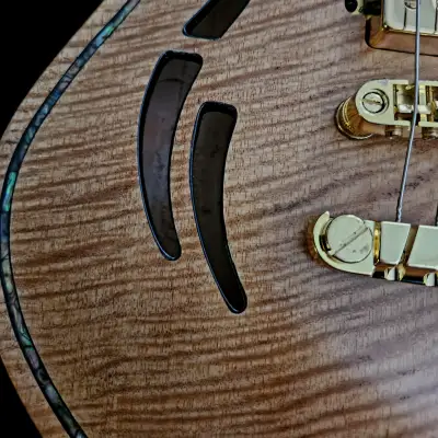 SJ Custom Guitars, Hollowbody,Flame Mango Top, Mahogany Back, | Reverb