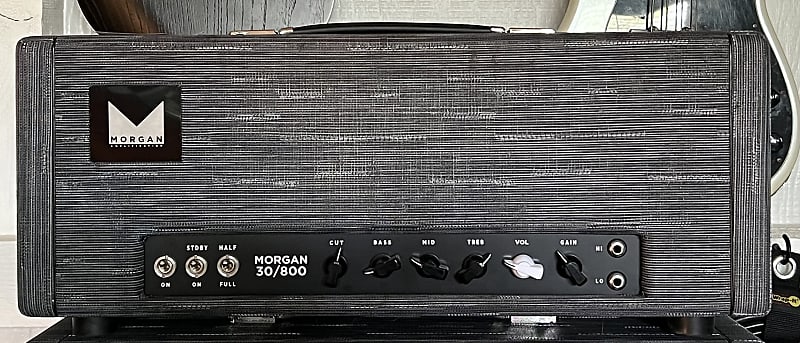 Morgan Amplification 30/800 2023 - Twilight Custom Order w/ | Reverb