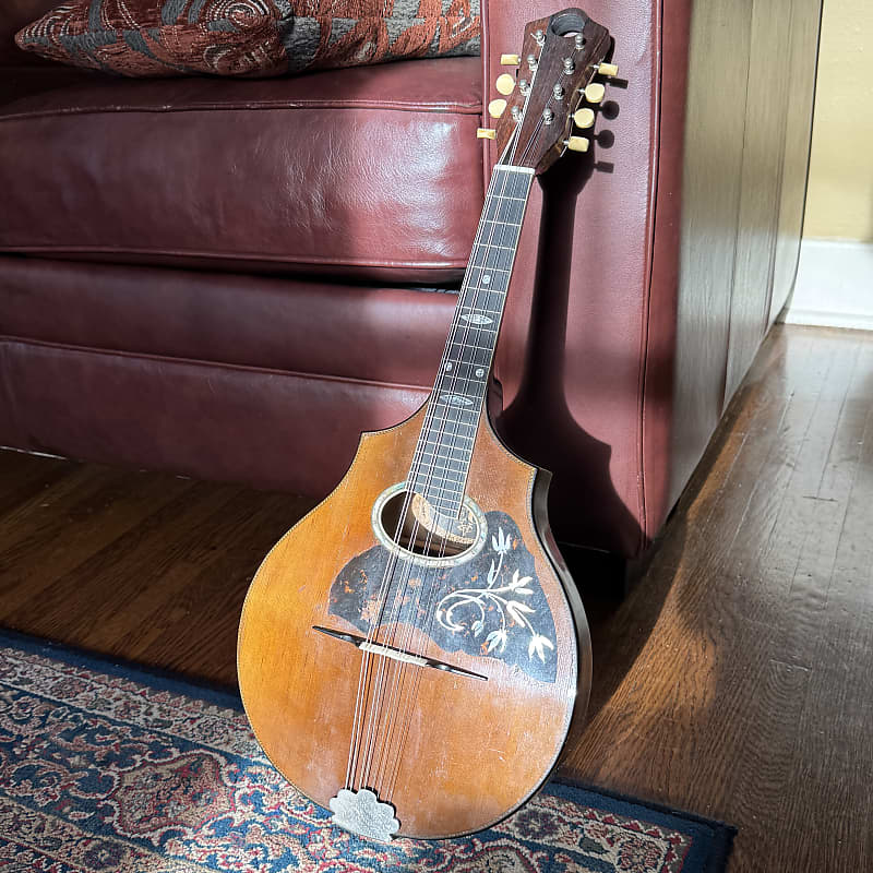 Vega Cylinder-Back Mandolin 1916-1918 - Natural | Reverb