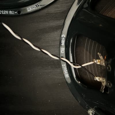 Alessandro Working Dog Rottweiler 40 watt 2-12 Combo | Reverb