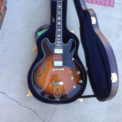 Peerless Renaissance Custom Hollowbody with Hard Case | Reverb