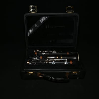 Buffet Zoe Limited BC1104-2-0 Professional Clarinet | Reverb