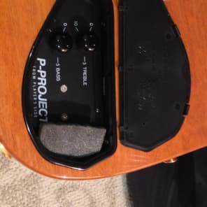 Fernandes P-Project 1998-99 AI-N Nylon Electric-Acoustic | Reverb