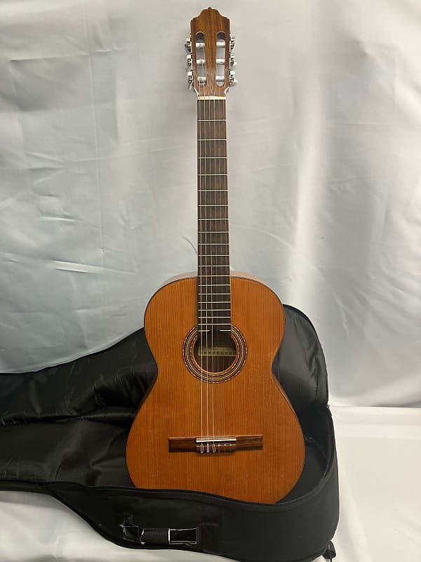 Esteve NYLON STRING CLASSICAL ACOUSTIC GUITAR WITH SOFT CASE | Reverb